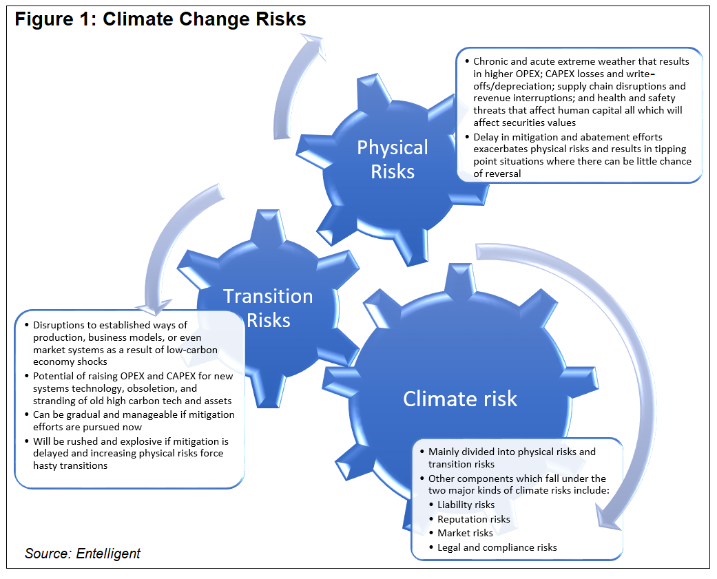 The Reality of Transition Risks for Investors: Part I